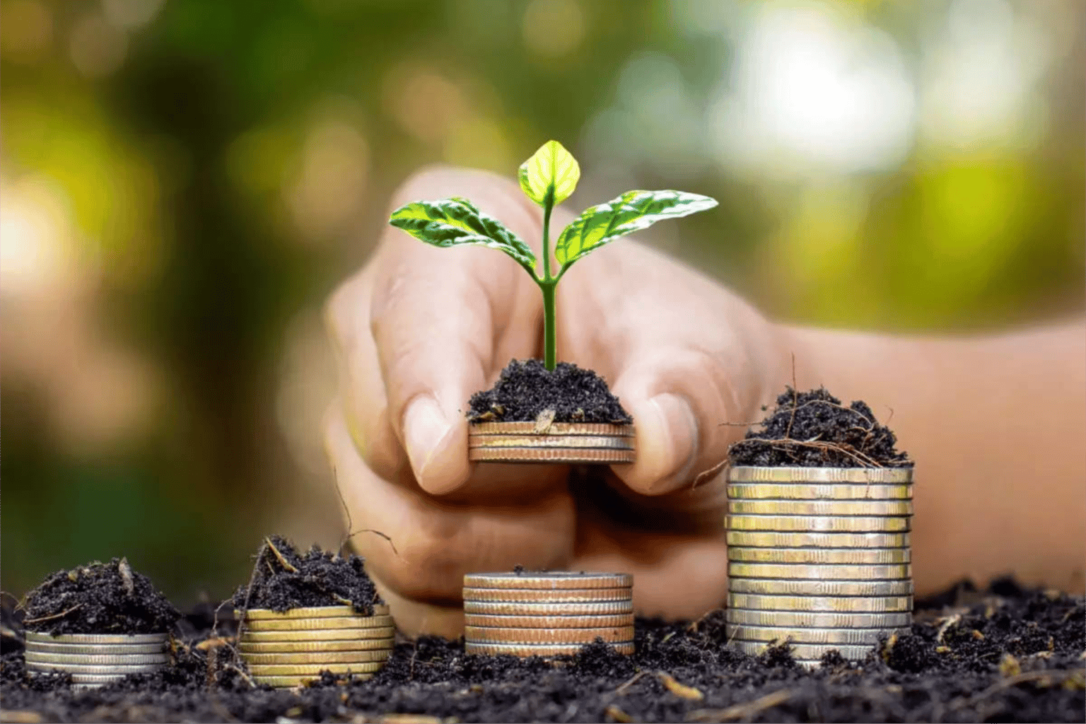 10 High Net Worth Investment Strategies - Pillarwm